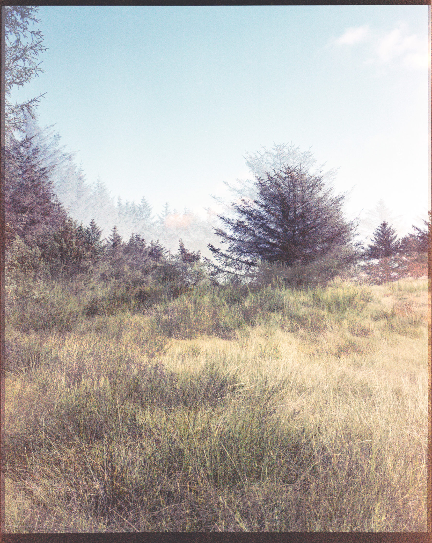 Exhibition 2023: [SIC!] Artist Collective: Kai Cassuben, Dominique ...