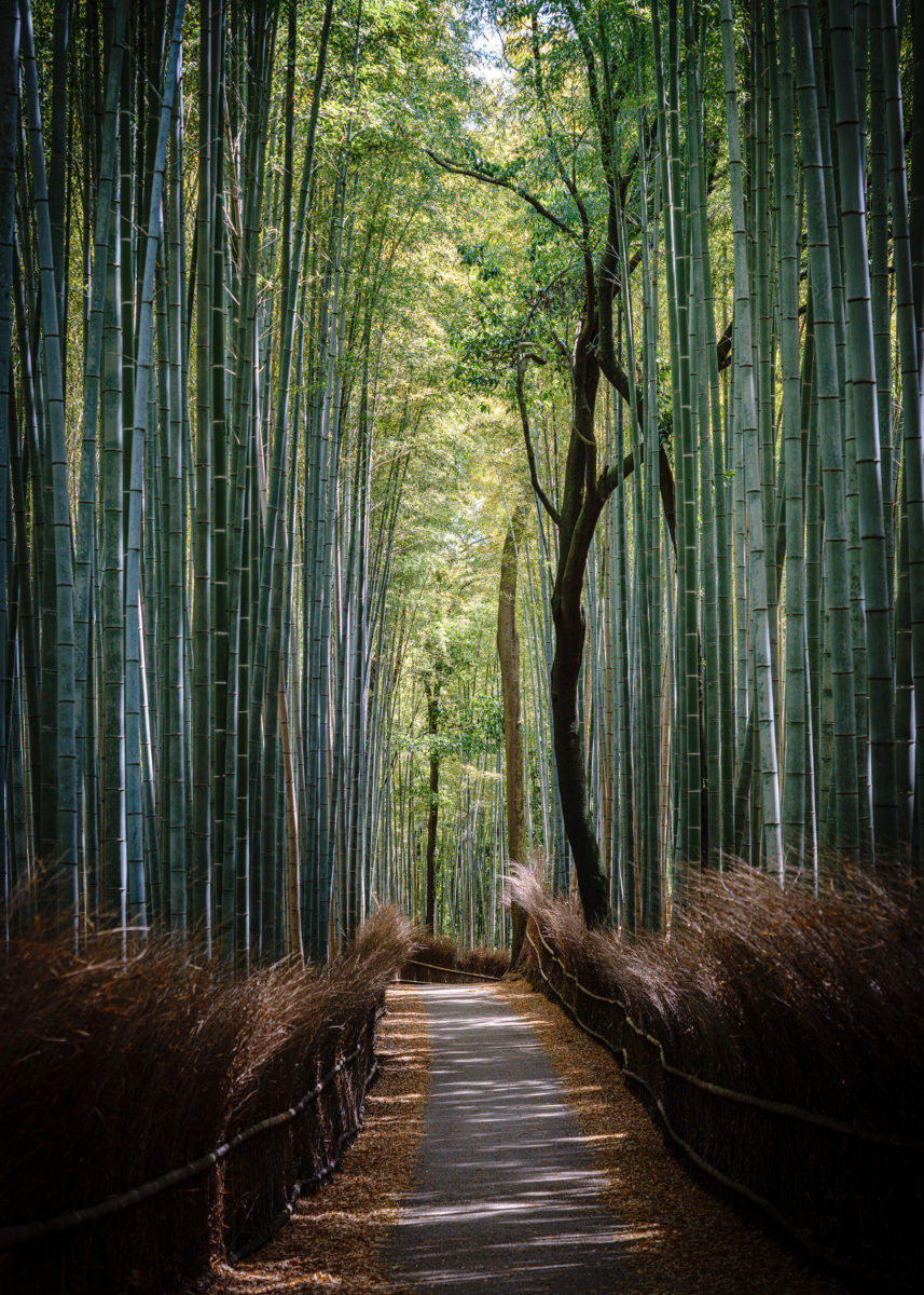 Exhibition 2024: Daniel Sofer Daniel Sofer | KG+