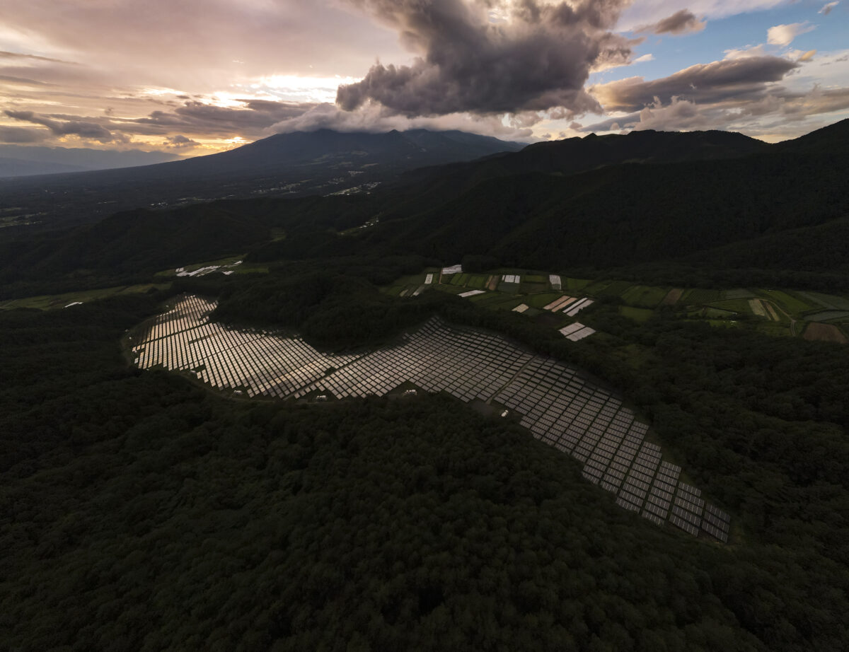 Exhibition 2024: YOSHIKI HEMMI / KISARA OKADA / SOSUKE MIYATA / YUJI OKUDA 逸見祥希・オカダキサラ・宮田草介・奥田侑史 ...