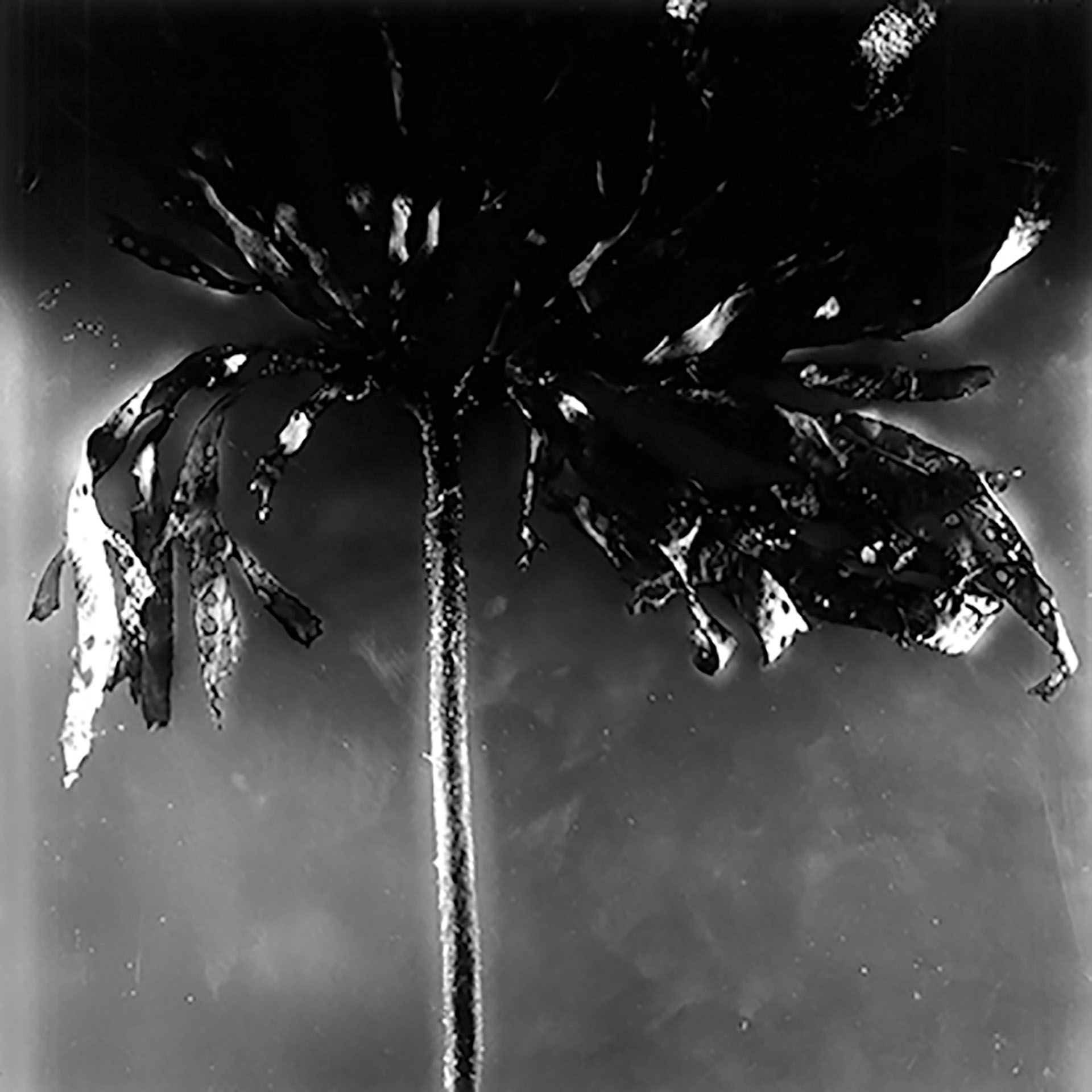 Exhibition 2025: Ryuji Ichikawa, gaQ Hasegawa, Hoi Kisyu, Hiroshi ...